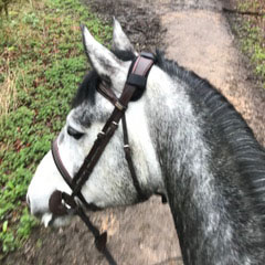 BeneFab Rejuvenate Smart Poll Pad - FMBS Therapy Systems