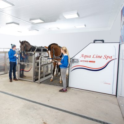 Equine Spa - FMBS Therapy Systems