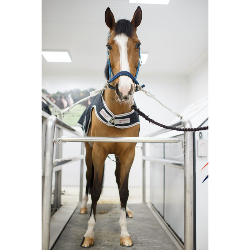 Combi Floor - FMBS Therapy Systems