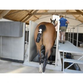 Equine Water Treadmill - FMBS Therapy Systems