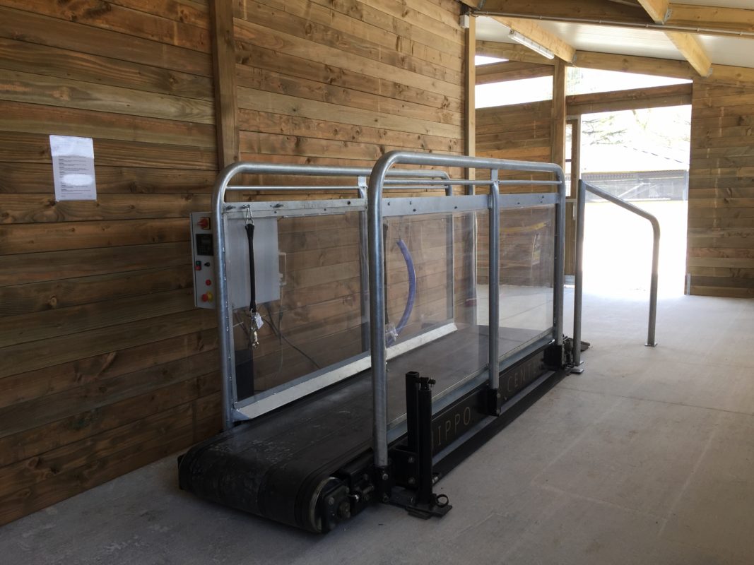 Equine Dry Treadmill - Hippocentre Trainer Range - FMBS Therapy Systems
