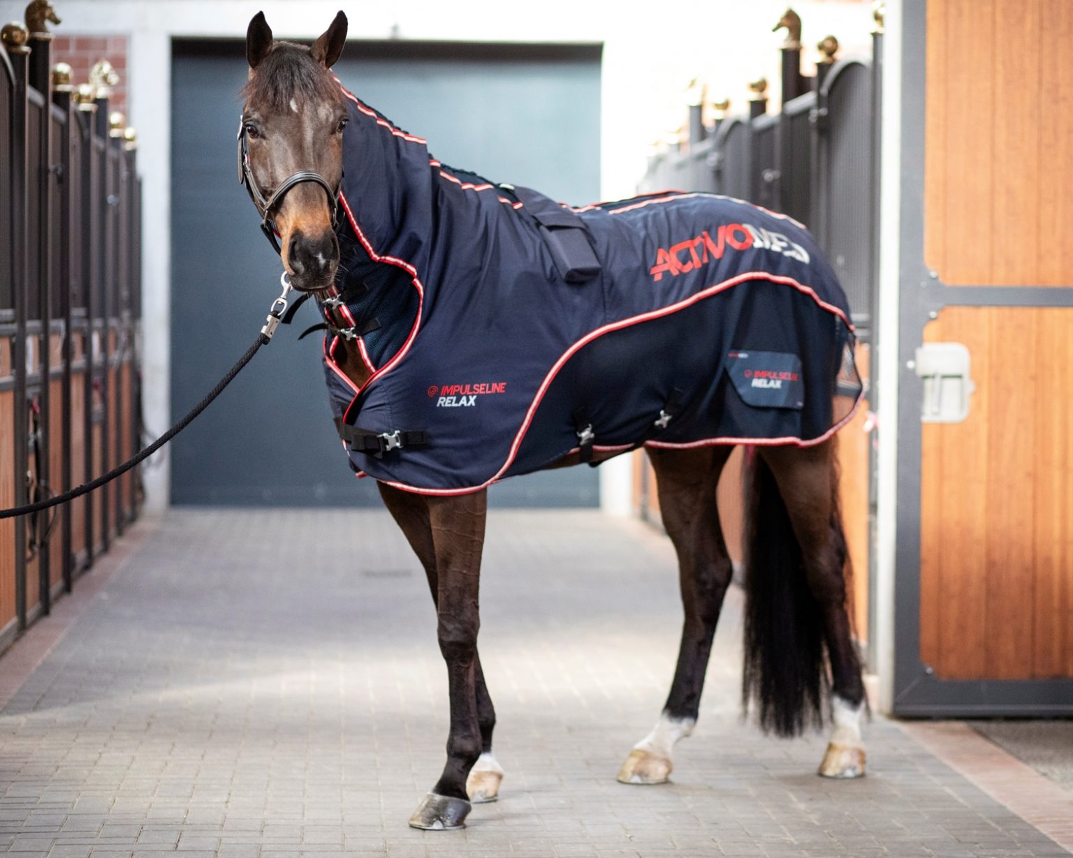 Activo-Med Combi Pro II Rug BLUE - FMBS Therapy Systems