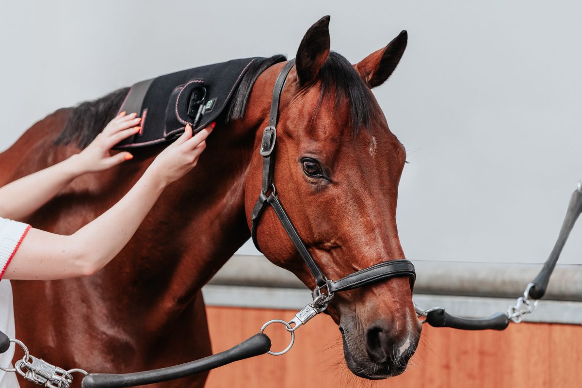 Infrapower Poll Cap - FMBS Therapy Systems